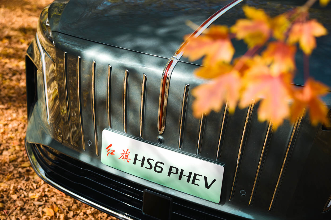 Hongqi HS6 sets Guinness World Record for longest PHEV SUV range at ...